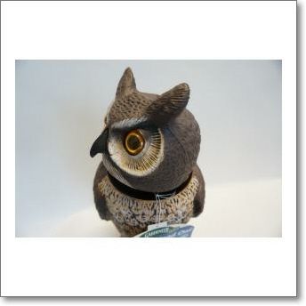 海外製品・JACOM製品 | CQオーム